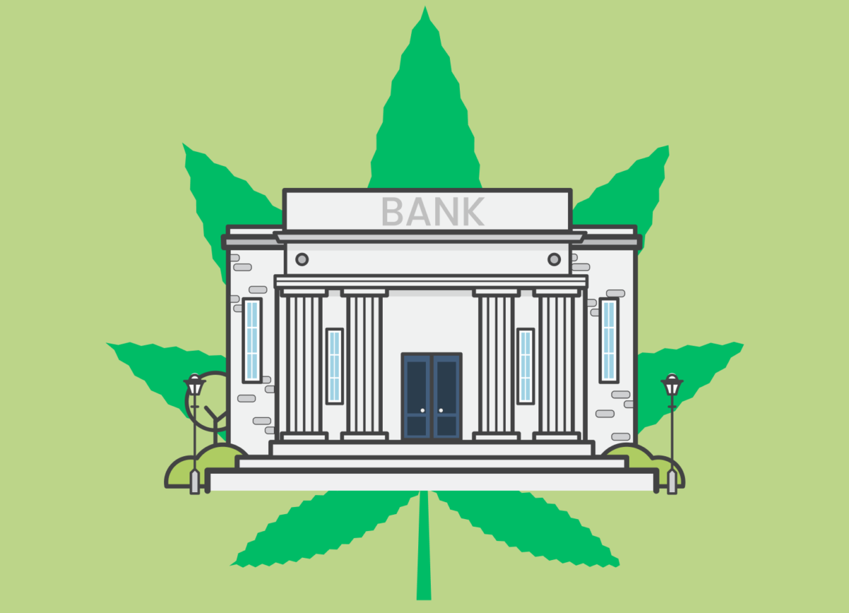 Cannabis Banking From the CEO Perspective | Green Check