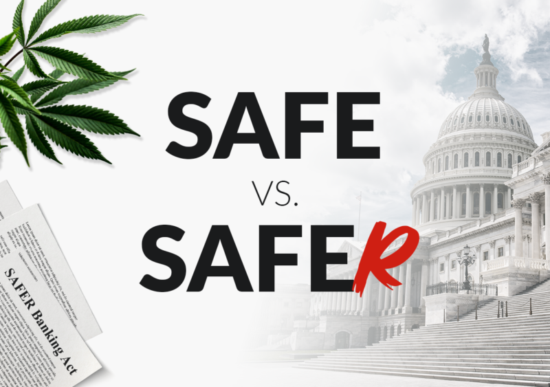 SAFE vs SAFER - What Financial Institutions Need to Know | Green Check